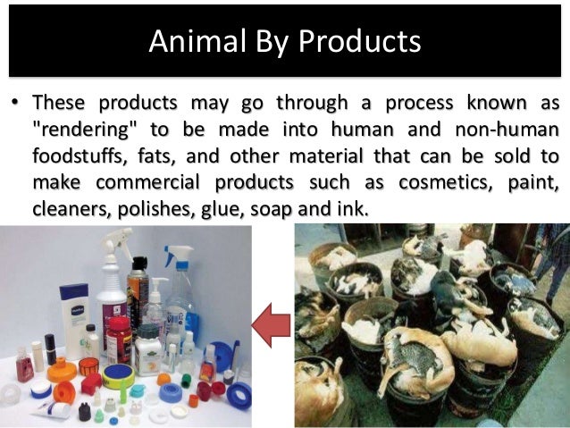 Animal products & animal by product