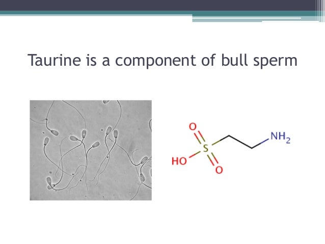 Animal products used in cosmetics