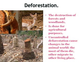 The environment. Animal protection. | PPT