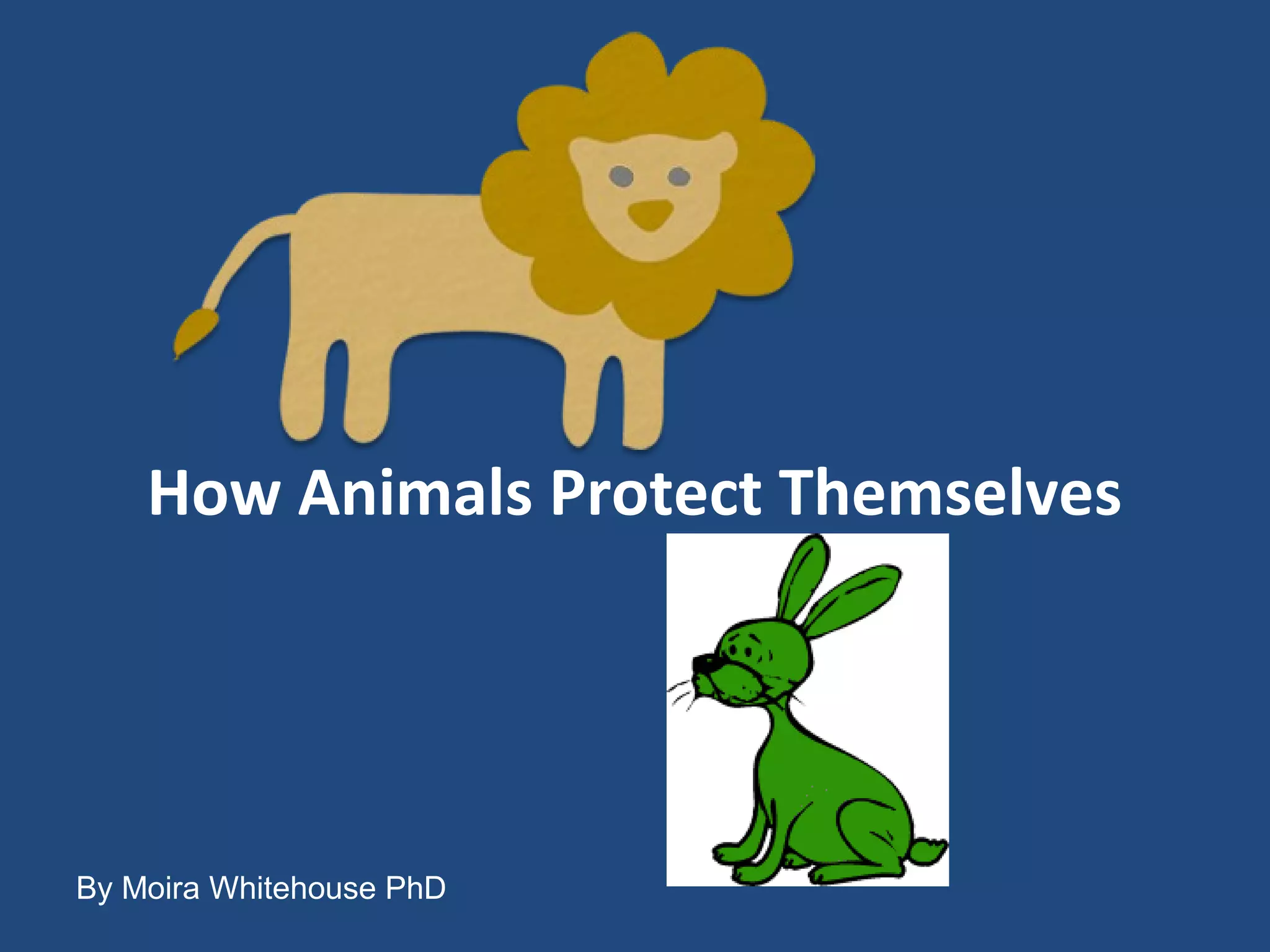 Animal protection (adapations teach) | PPT