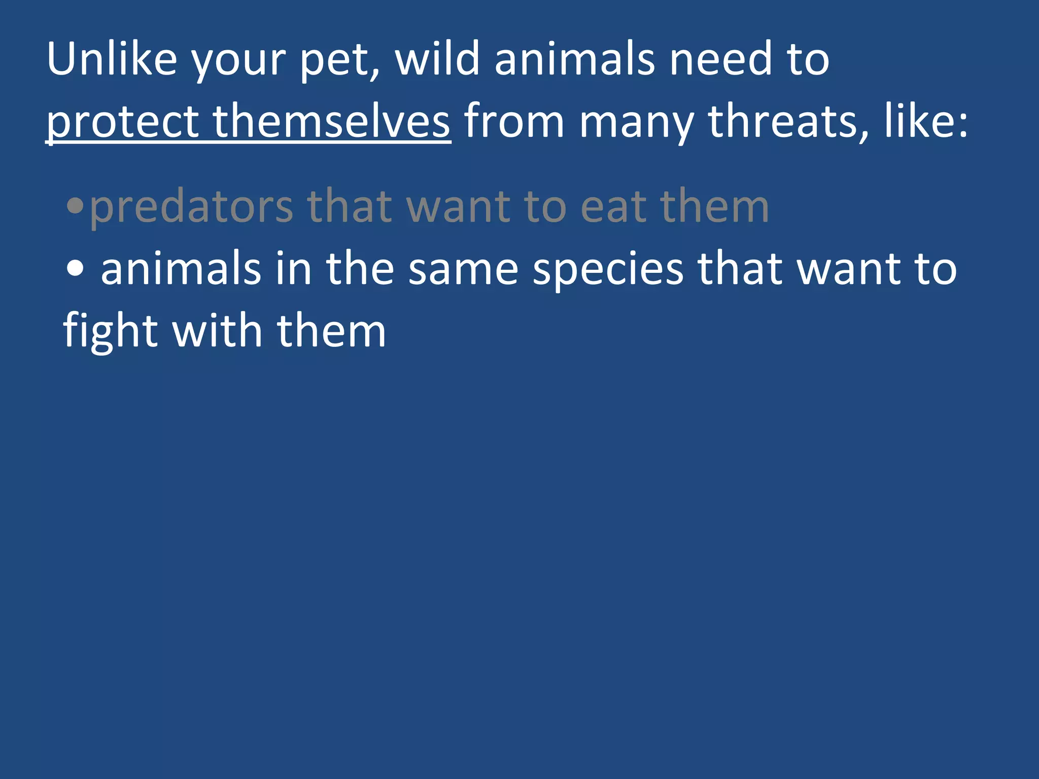 Animal protection (adapations teach) | PPT