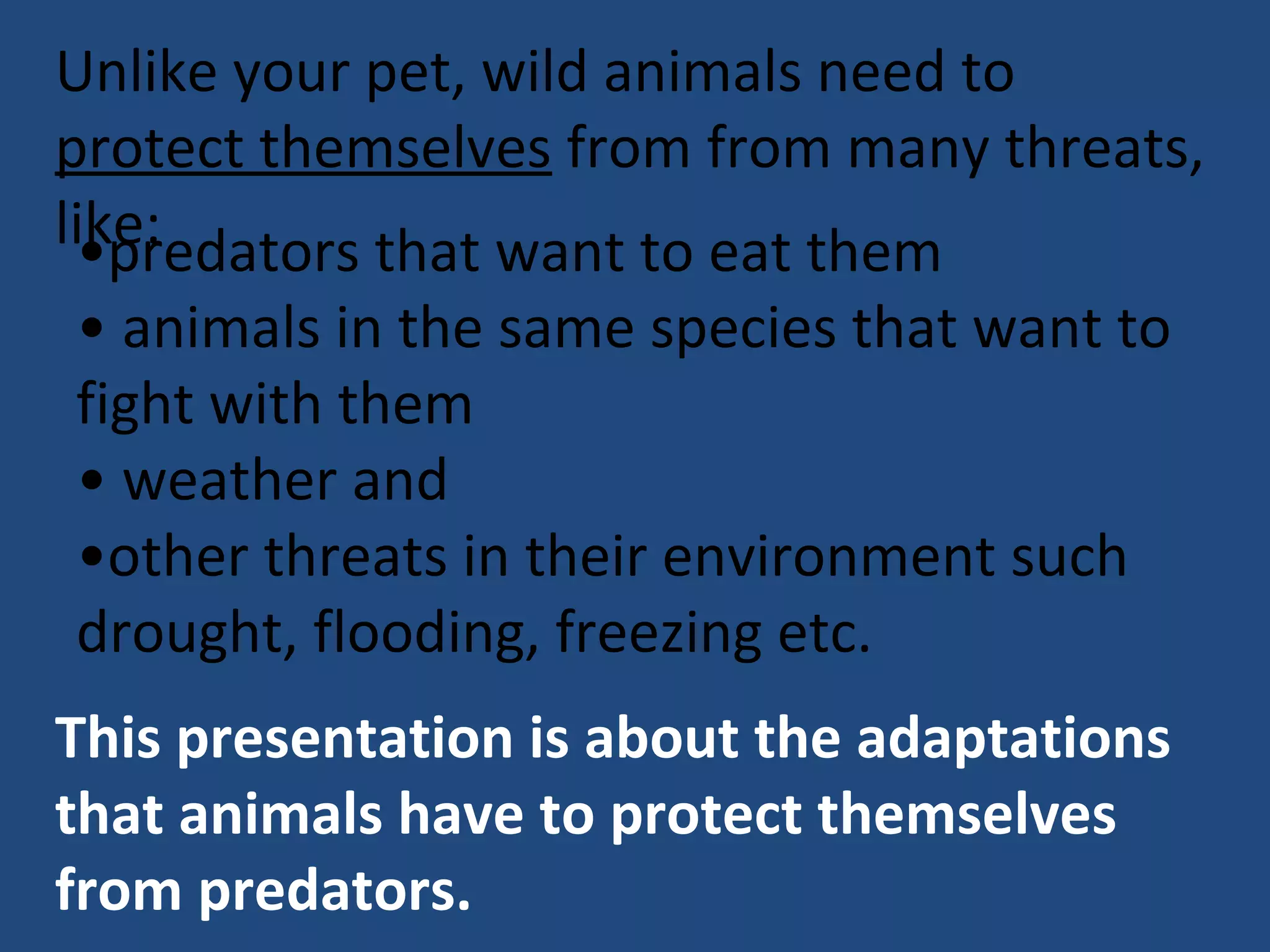 Animal protection (adapations teach) | PPT