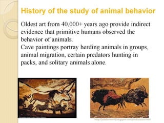 Animal psychology | PPTX