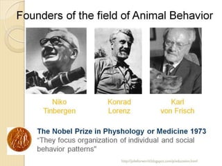 Animal psychology | PPTX