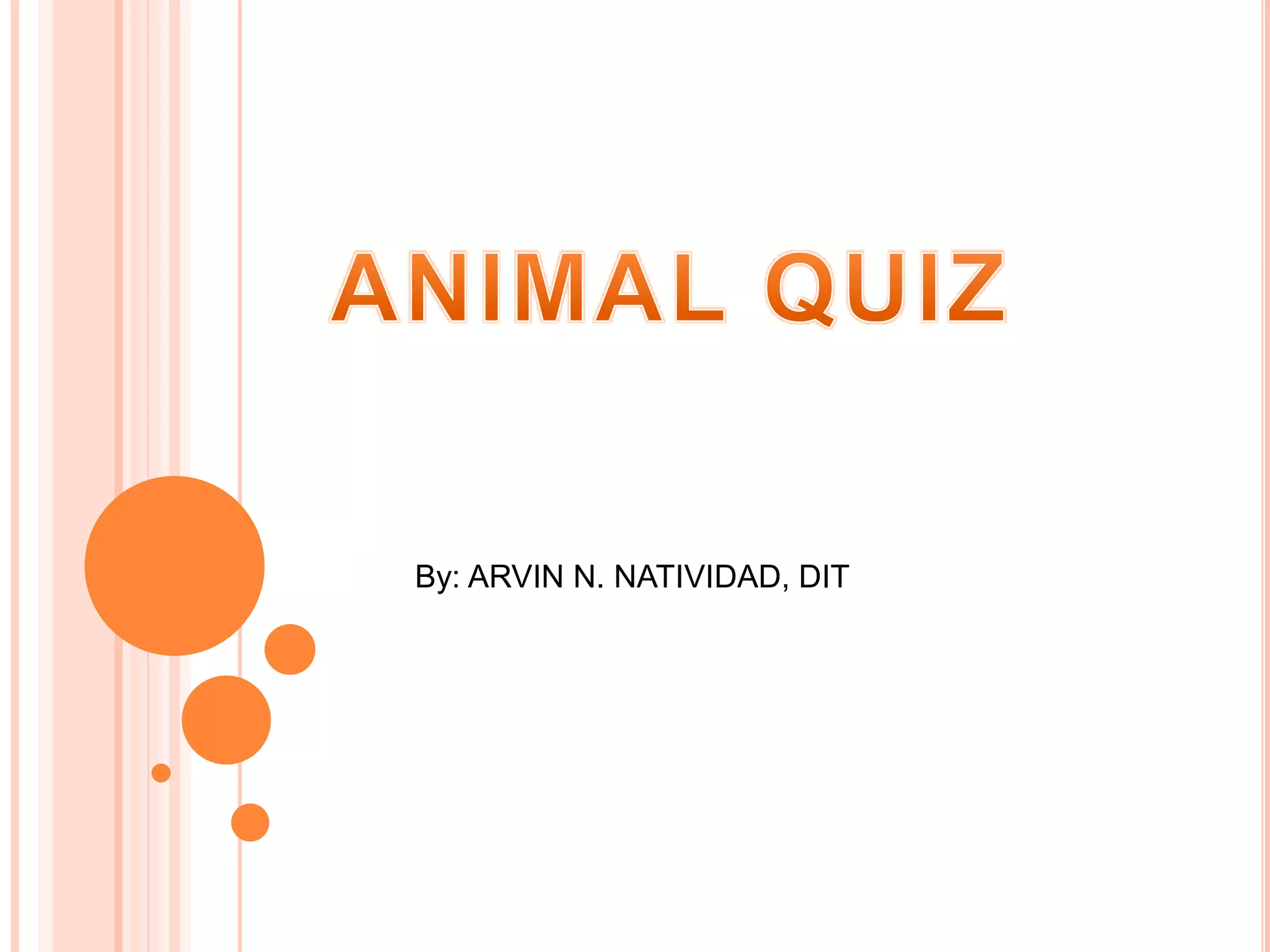 Animal quiz | PPTX