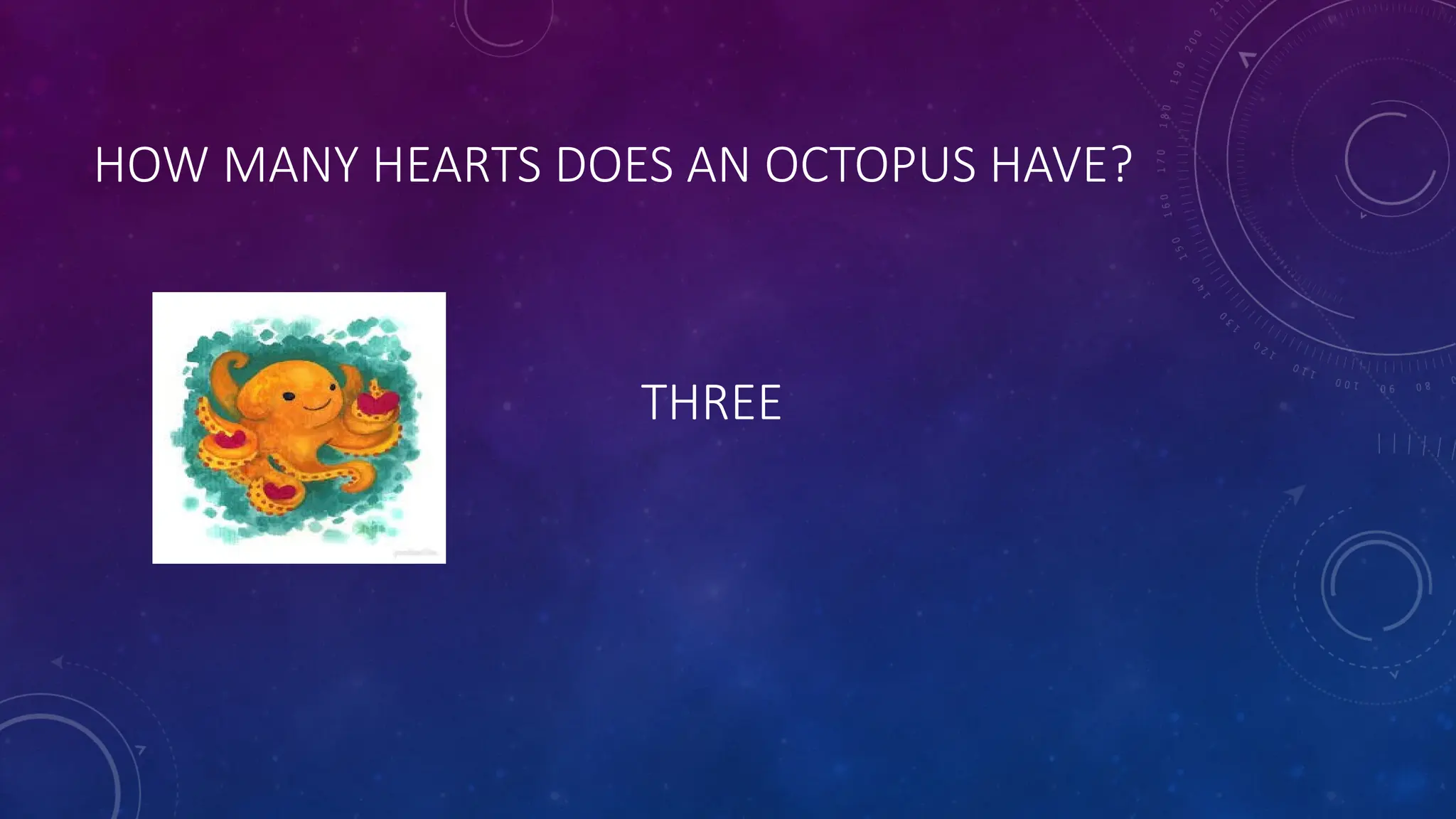 Wild Wonders: An Engaging and Fun Animal Quiz | PPTX