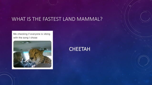 Wild Wonders: An Engaging and Fun Animal Quiz | PPTX