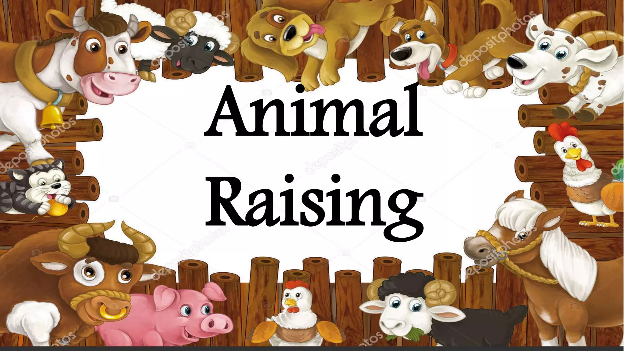 Animal raising | PPTX