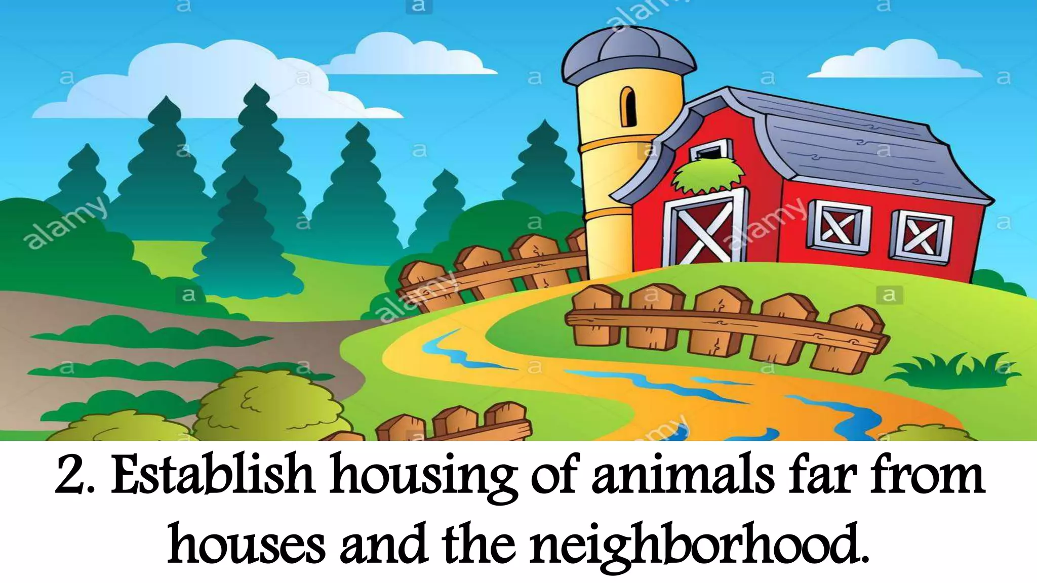 Animal raising | PPTX