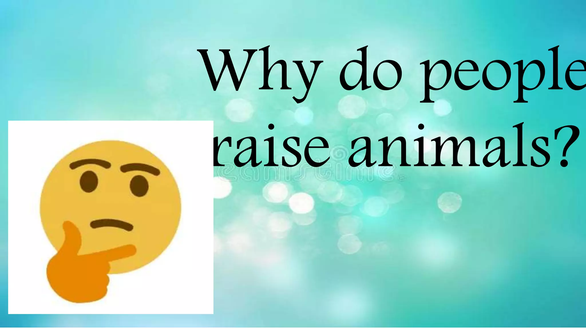 Animal raising | PPTX