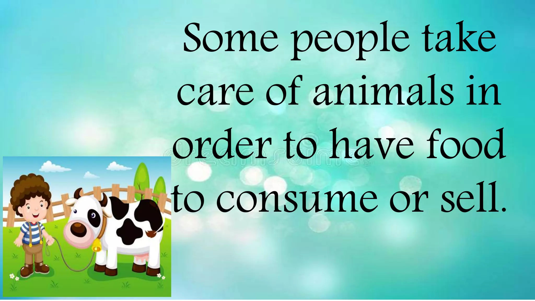 Animal raising | PPTX