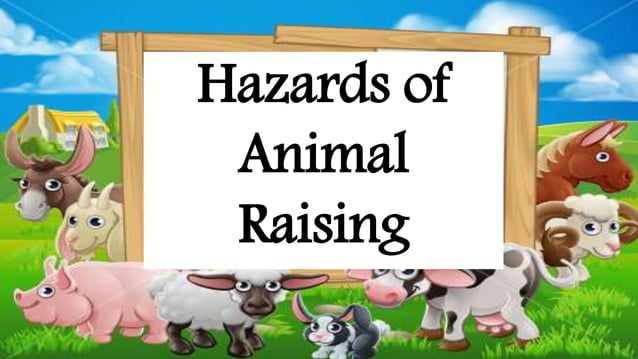 Animal raising | PPTX