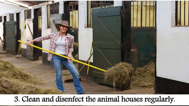 Animal raising | PPTX