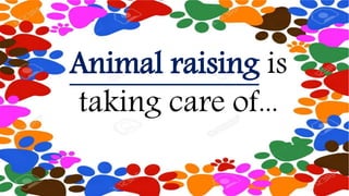 Animal raising | PPTX