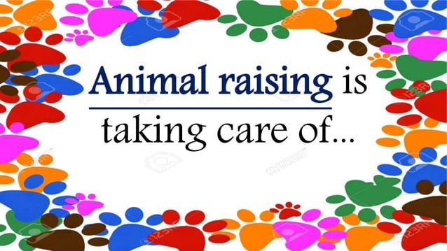 Animal raising | PPTX