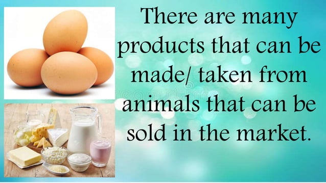 Animal raising | PPTX