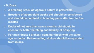 Animal Raising.pptx