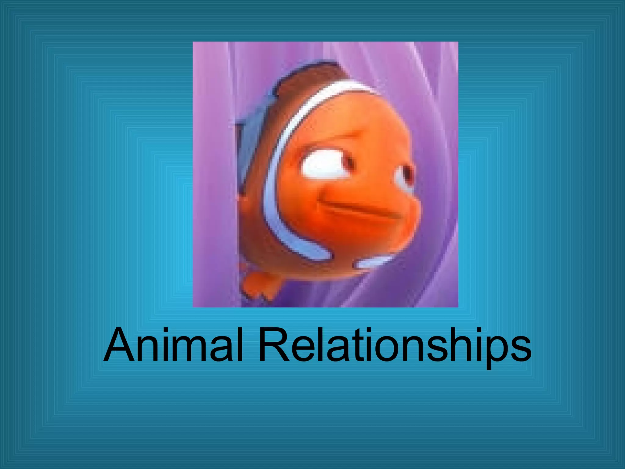 Animalrelationships | PPT