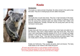 Animal Reports CSWE2 Gosford TAFE | PPT