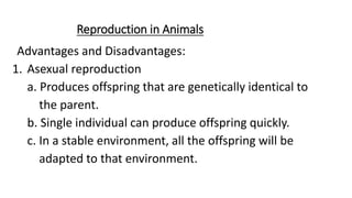 ANIMAL REPRDUCTION.pptx