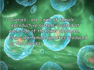 Animal reproduction | PPTX