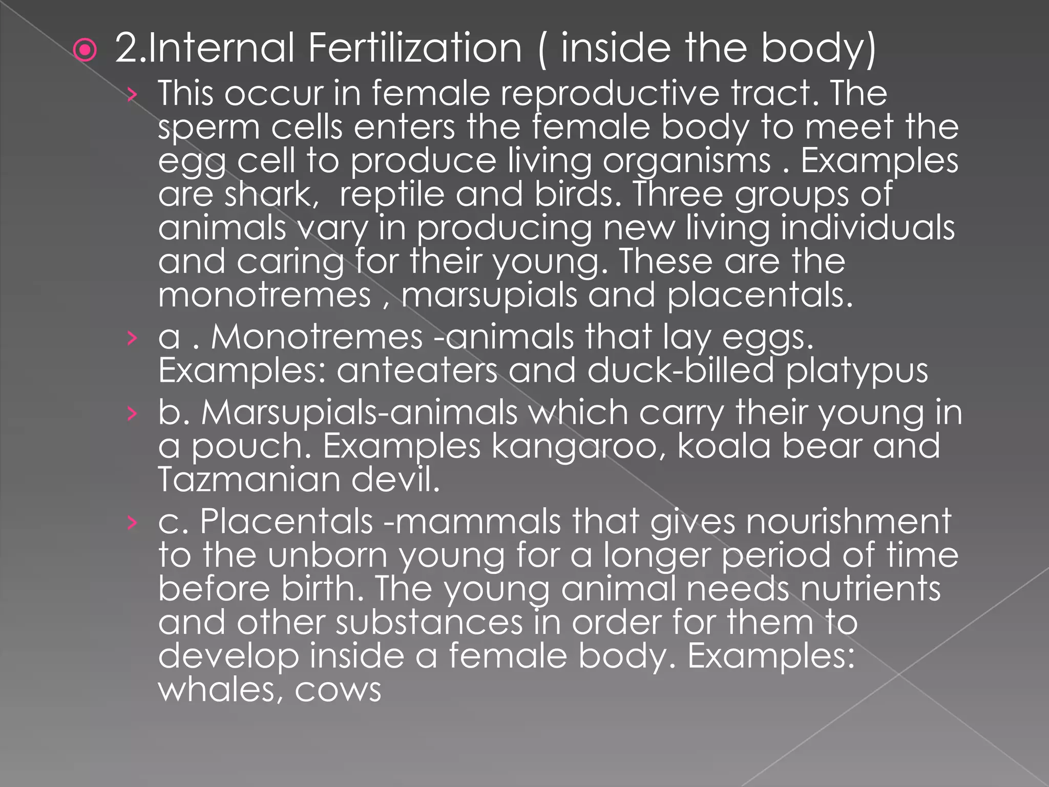 Animal reproduction | PPTX