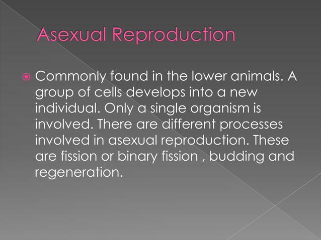 Animal reproduction | PPTX