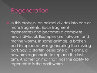 Animal reproduction | PPTX