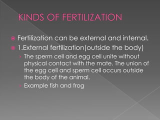 Animal reproduction | PPTX