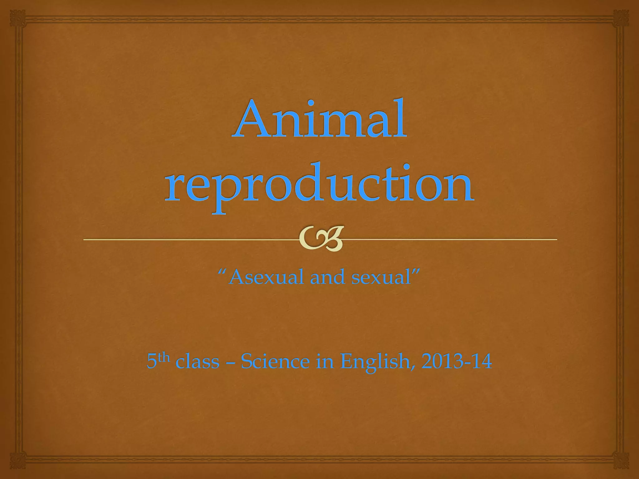 Animal reproduction | PDF