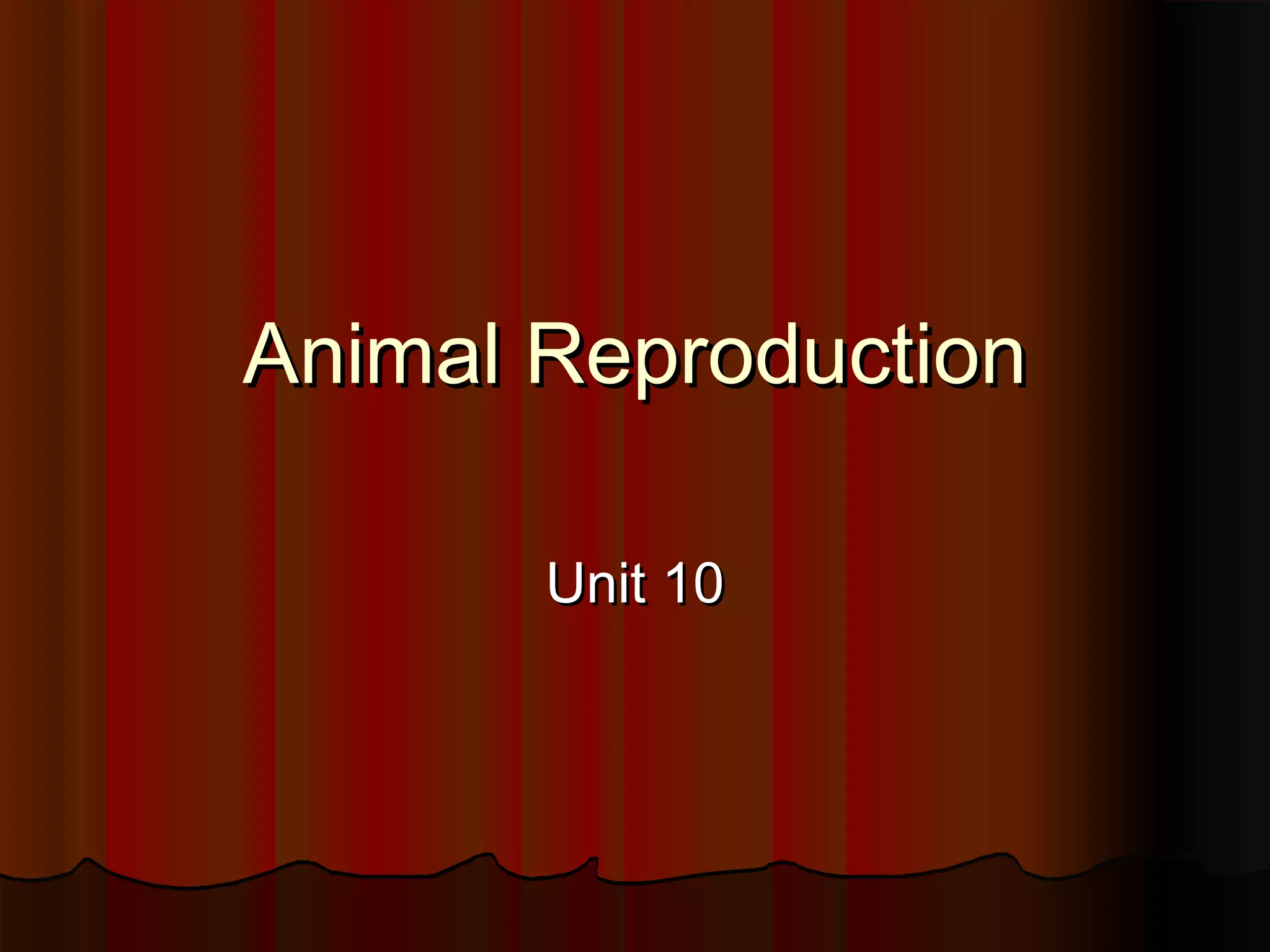 Animal reproduction | PPT