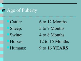 Animal reproduction | PPT