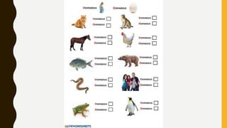 Animal reproduction | PPTX