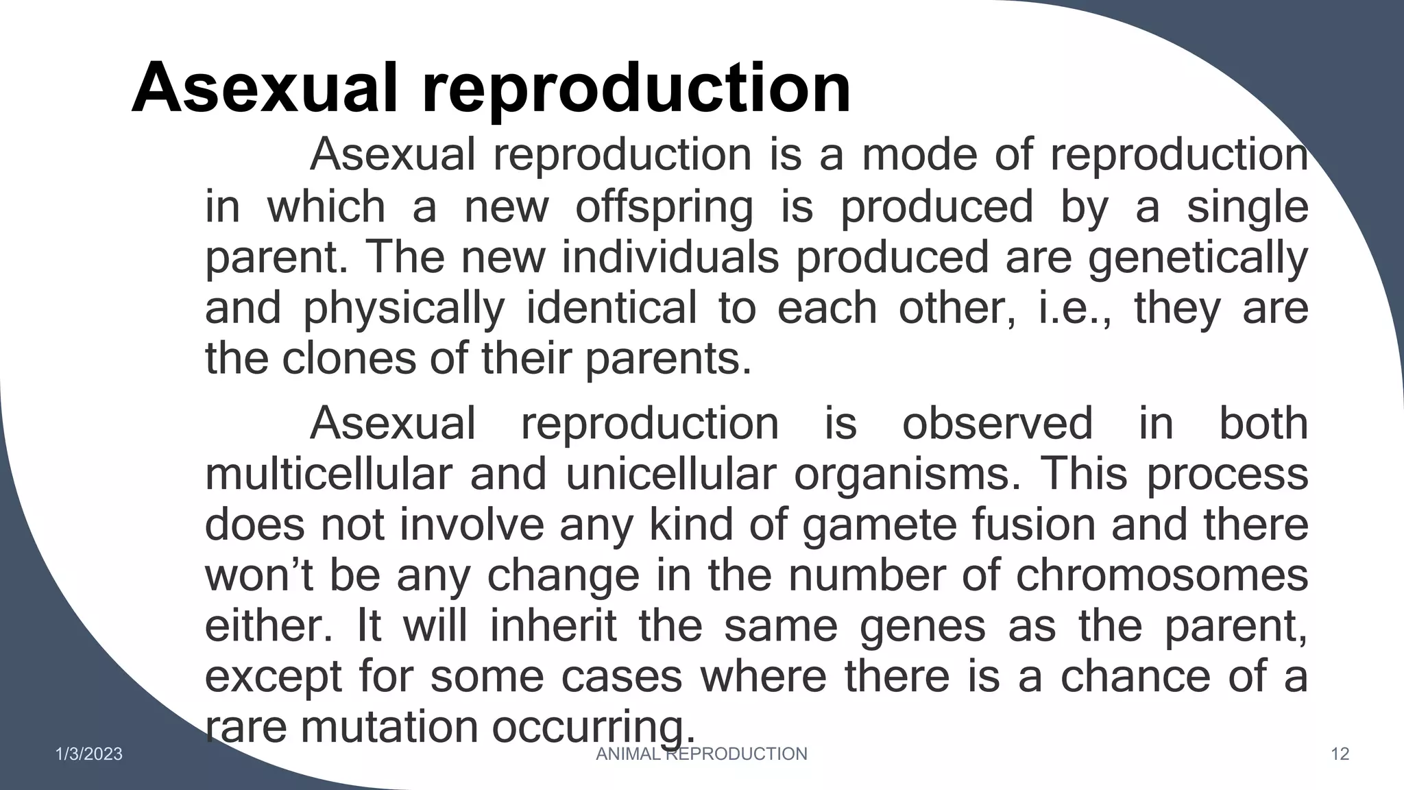 ANIMAL REPRODUCTION.pptx