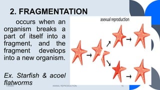 ANIMAL REPRODUCTION.pptx