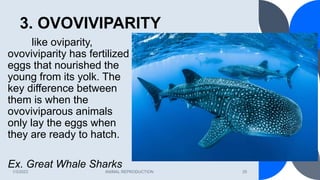 ANIMAL REPRODUCTION.pptx
