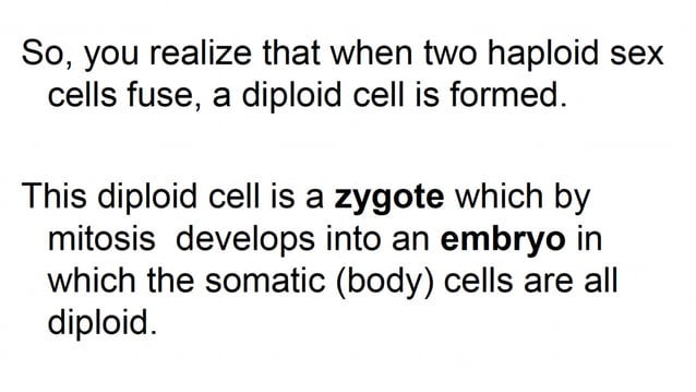 Animal Reproduction.pdf | Infertility | Reproductive Health