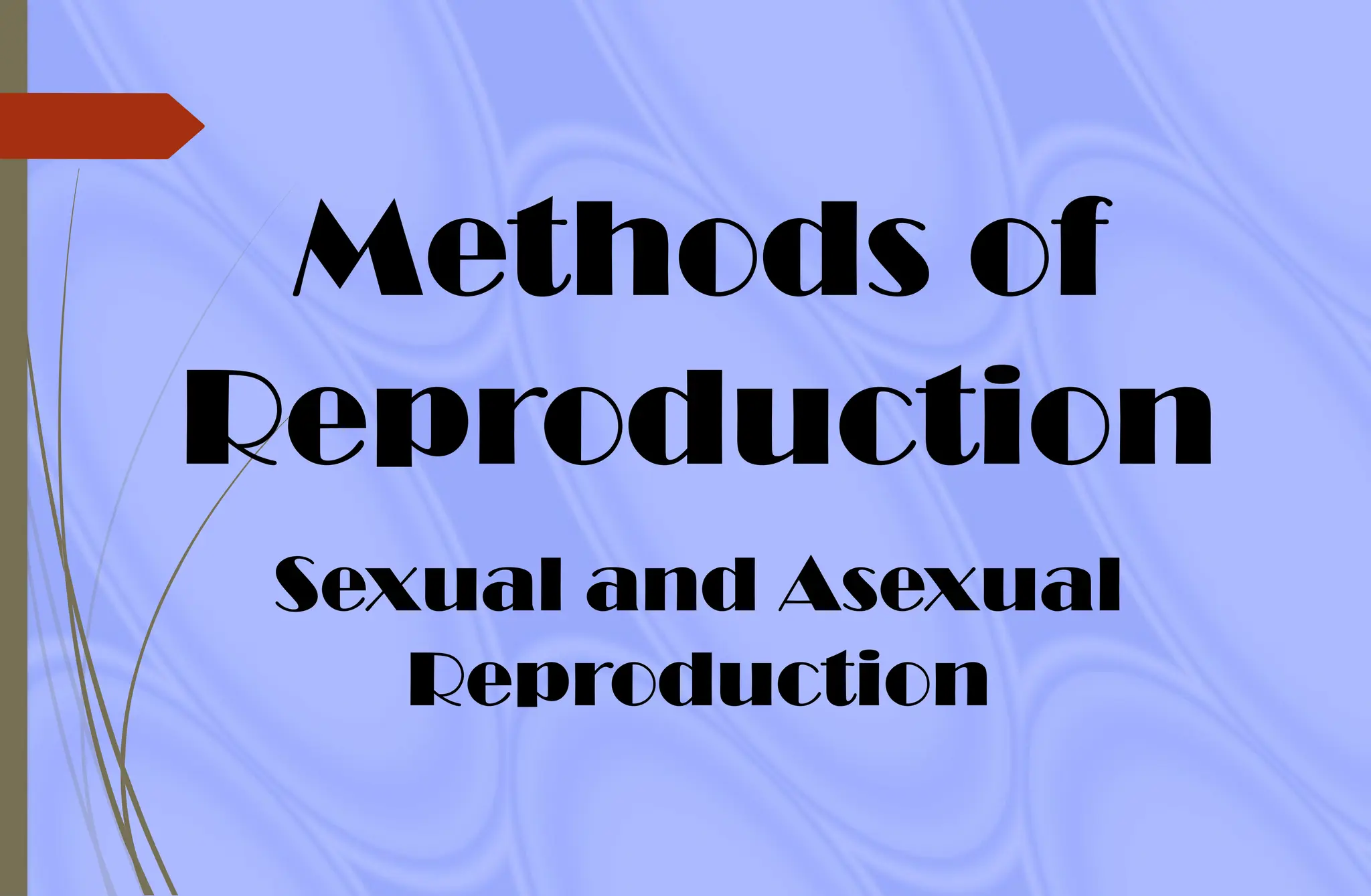 ANIMAL REPRODUCTION grade 5--------.pptx