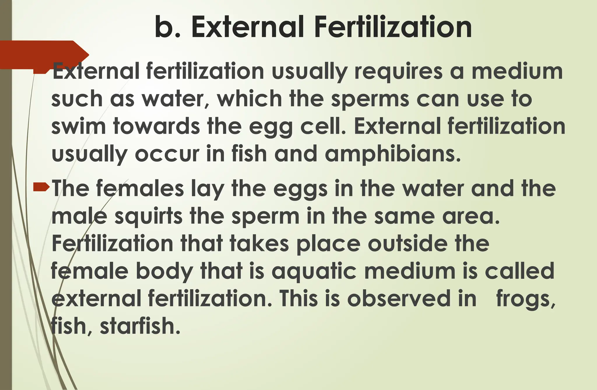 ANIMAL REPRODUCTION grade 5--------.pptx