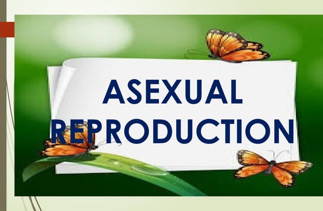 ANIMAL REPRODUCTION grade 5--------.pptx