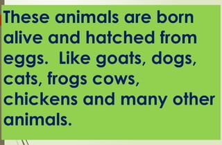ANIMAL REPRODUCTION grade 5--------.pptx