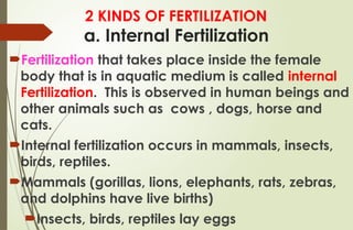 ANIMAL REPRODUCTION grade 5--------.pptx