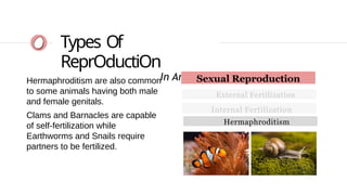 ANIMAL REPRODUCTION.pptxMMMMMMMMMMMMMMMMMMMMMMMMMMM | PPTX