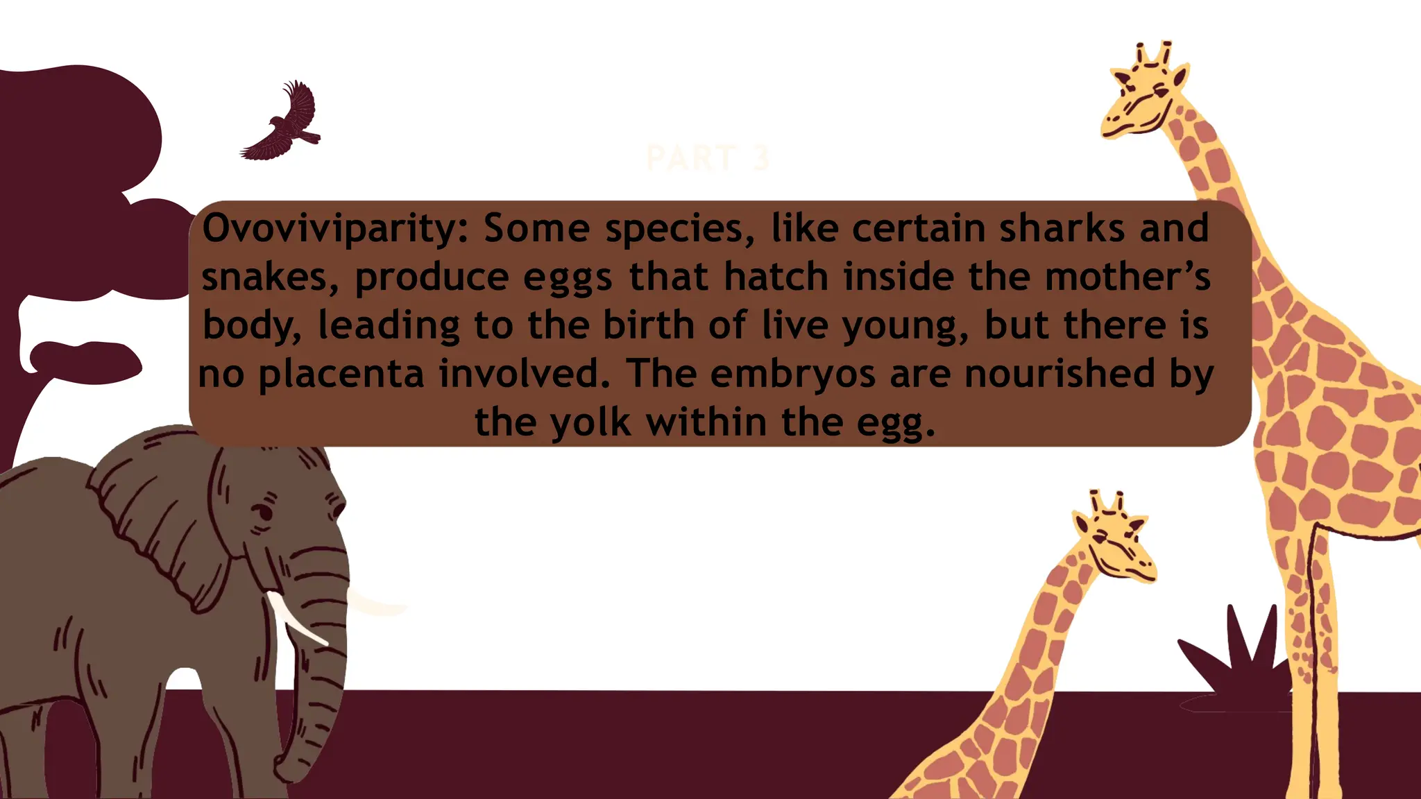 animal reproduction. earth and life pptx | PPTX