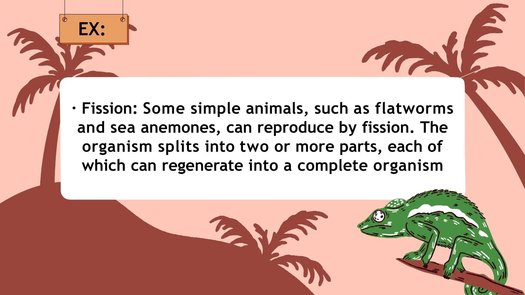 animal reproduction. earth and life pptx | PPTX