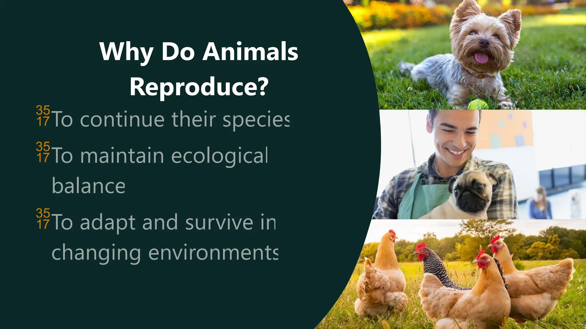 ANIMAL REPRODUCTION FOR SENIOR HHIGH SCHOOL.pptx