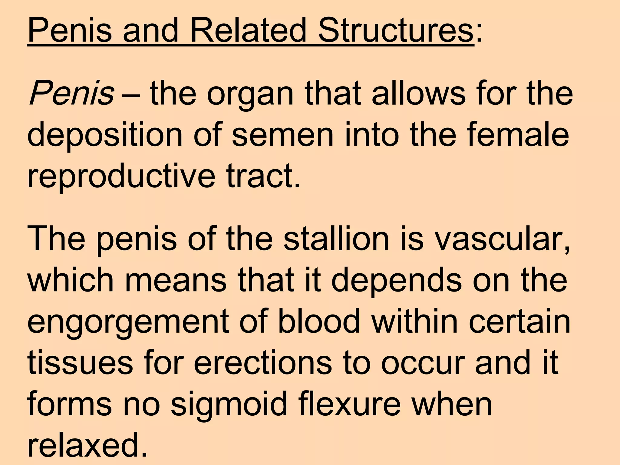 Animal reproduction class presentation (ppt) | PPT