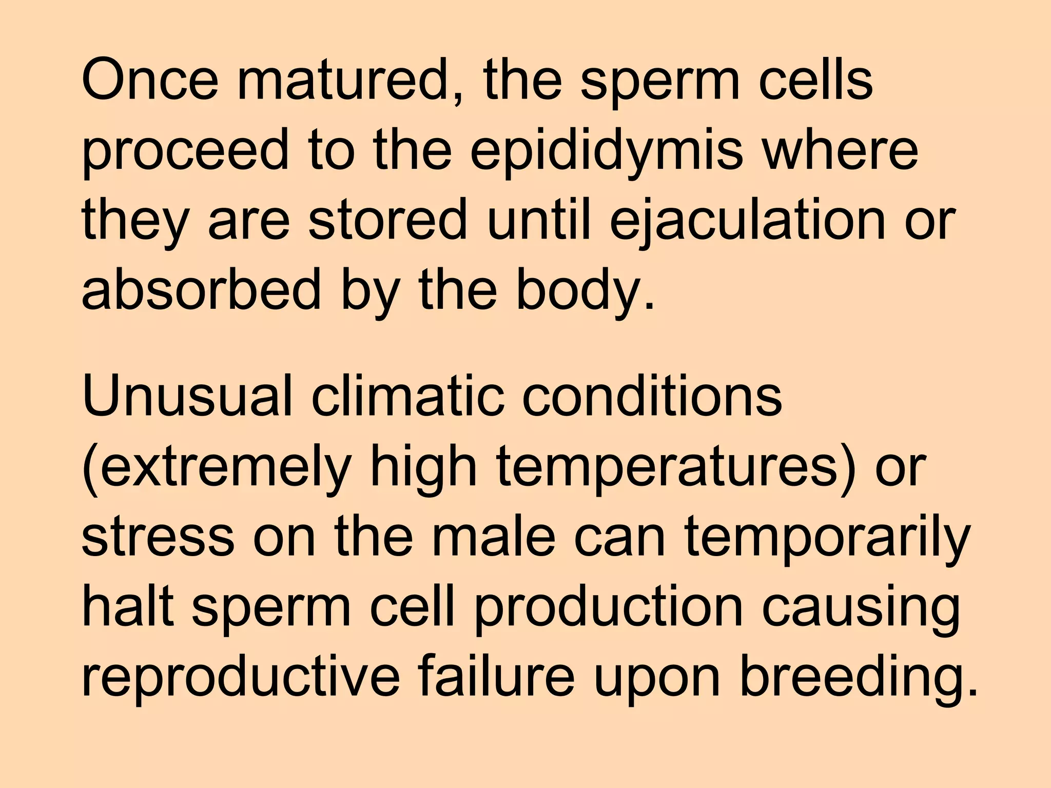 Animal reproduction class presentation (ppt) | PPT