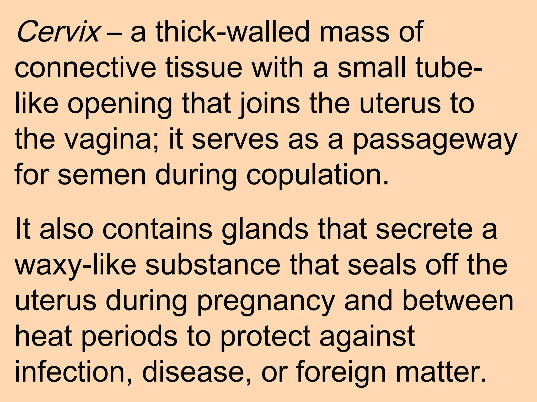 Animal reproduction class presentation (ppt) | PPT