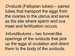 Animal reproduction class presentation (ppt) | PPT